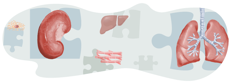 Guide to Living Organ Donation - Nursing@Georgetown